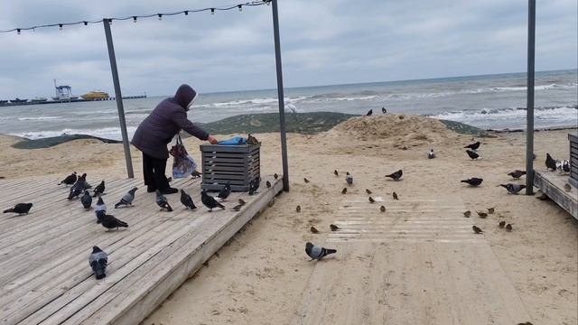 Центральный пляж Шторм Анапа 1 февраля #русскоеморе #анапа2026