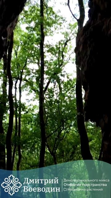 Открытие пространства (демо) | блок Природная Медицина  музыкотерапии Синергия  | Роспатент №2740255