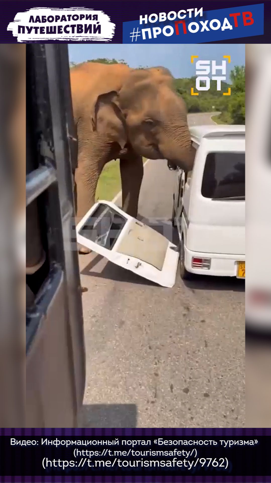Нападение слона на Шри-Ланке: туристы не пострадали