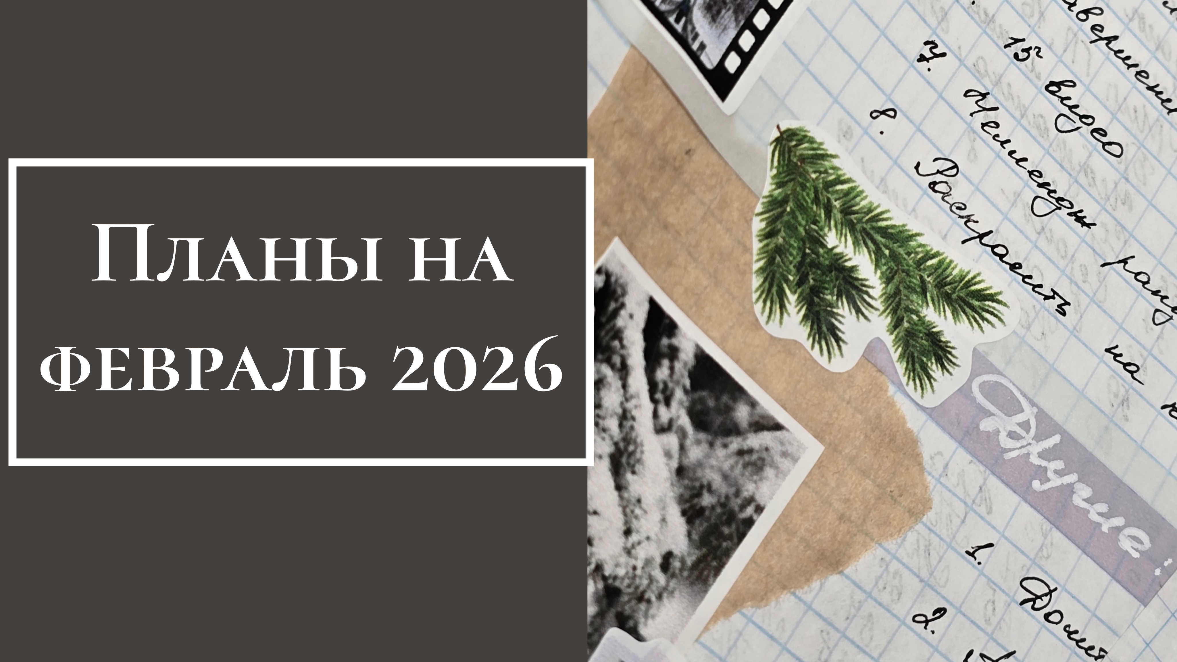 Планы на февраль 2026