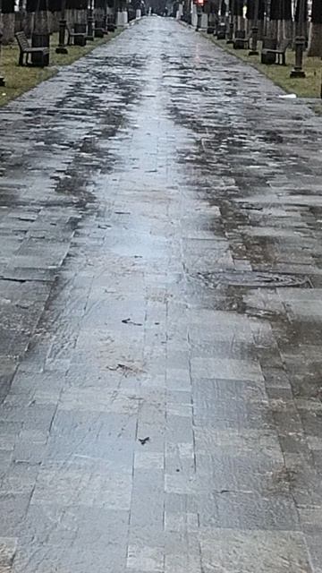 №1134 Комсомольский проспект. 25 ноября 2025 г., 14:51:41 VID_20251125_145102329