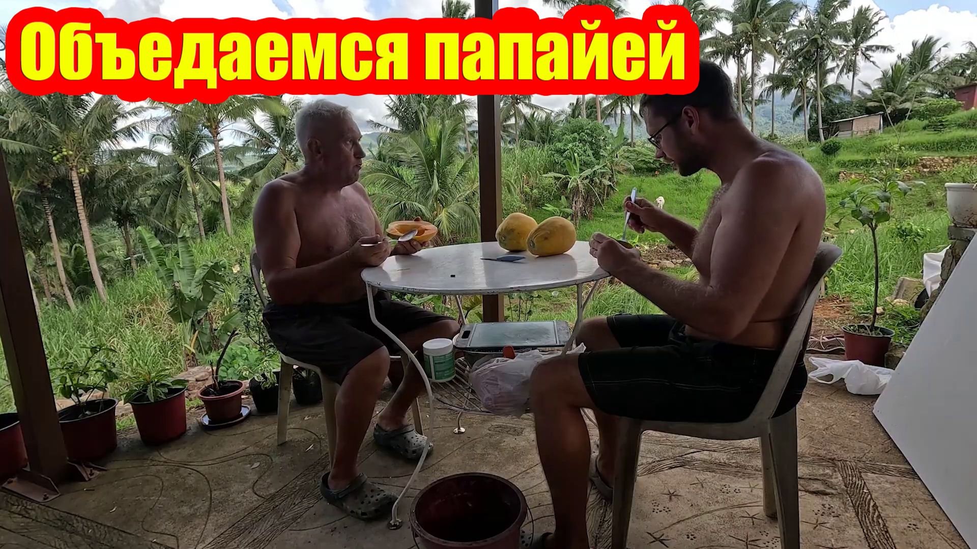 Отец Сергей и Сын Иван | Визит гостей | Батя делает душевую | Наедаемся нашей папайей