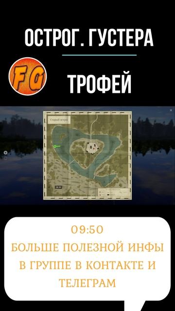 ТОЧКА ЛОВЛИ ТРОФЕЙНОЙ ГУСТЕРЫ НА ОСТРОГЕ. Русская рыбалка 4. рр4