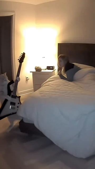 КОООТ!!!!!!!!!!!!!!!!!!!!!