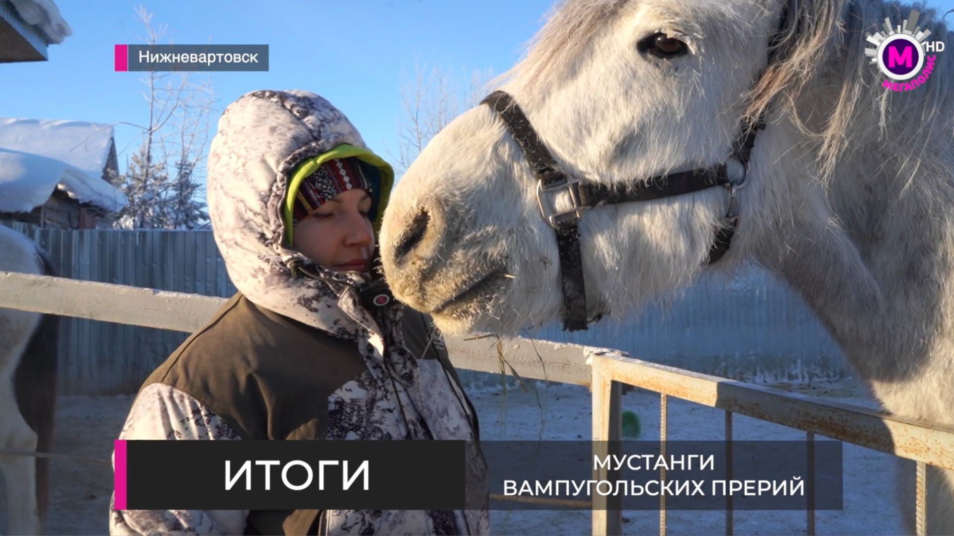 Мустанги вампугольских прерий - Нижневартовский район