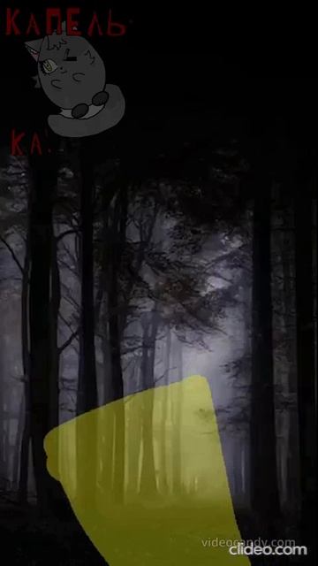 🍥Капелька х Лёша💙в лесу🌲