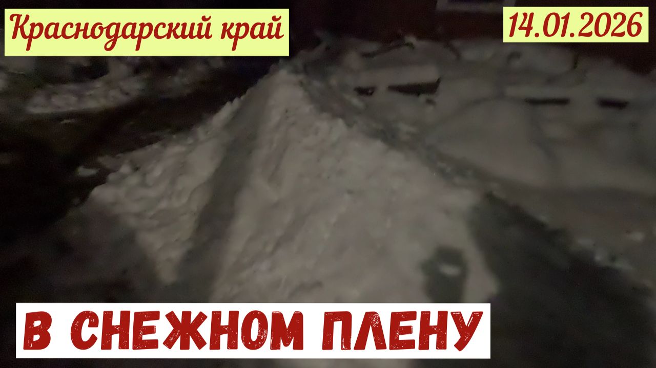 В снежном плену(14.01.2026)