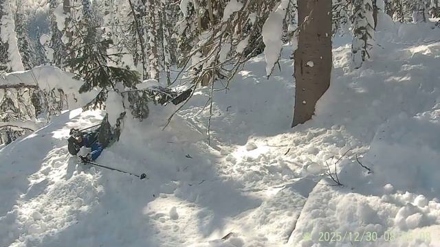 ШЕРЕГЕШ 2026: Извини, Тоха (С)