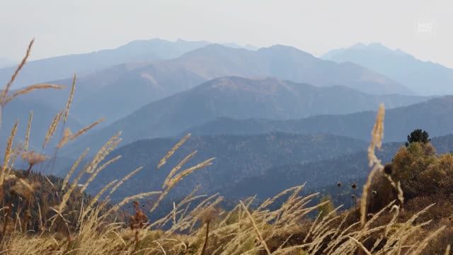 Возьмите на урок: Патриотическое звучание стихотворений о Родине