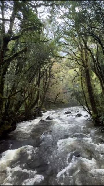 Завораживает 🍀 место силы🫶🏽