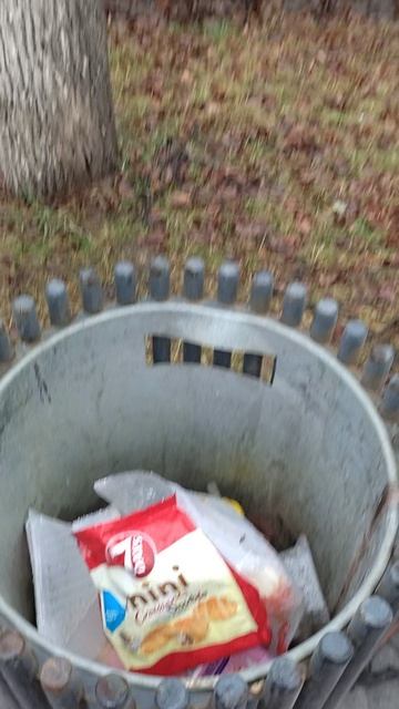 №1121 Комсомольский проспект. 25 ноября 2025 г., 14:43:00 VID_20251125_144251867