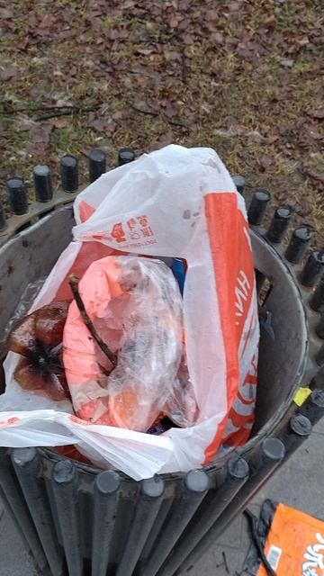 №1132 Комсомольский проспект. 25 ноября 2025 г., 14:50:14 VID_20251125_145002869