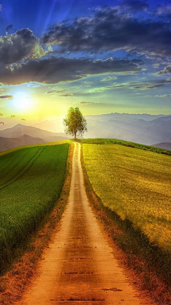 Послание Девы Марии на эту неделю... ❤✍️🌳💚