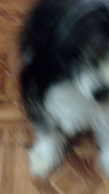 Вы рыбов продаете?