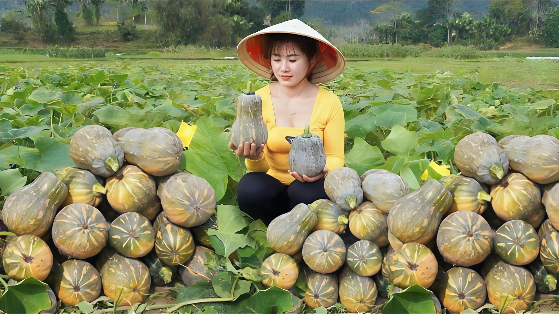 Собираю тыкву и отправляюсь на рынок продавать.Измельчаю кукурузу, чтобы накормить рыб и цыплят.Нхат