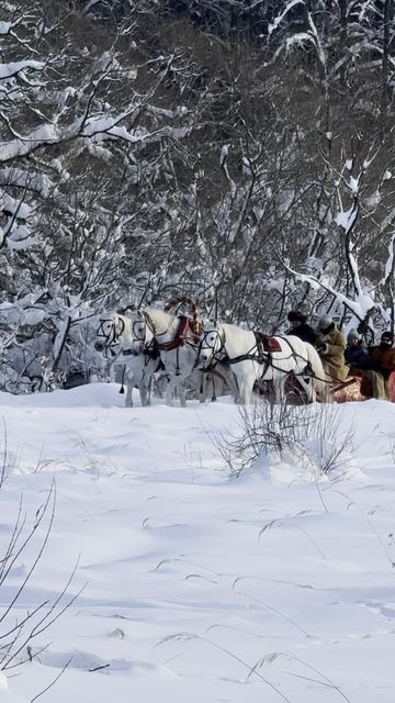 Катание на русской тройке