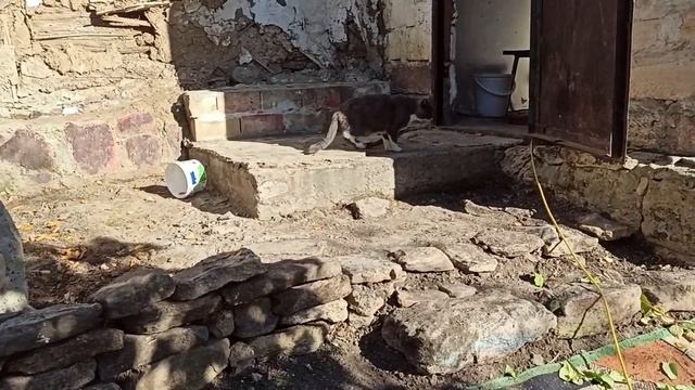 30,31 октября 2023г.Мой дом .Дни уборки и раскопок)