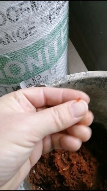 Как выглядит отработанный катионит