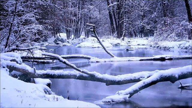 3 Февраля - Один день, который меняет все.