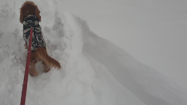Последствия снежной бури метели в Казани. Руслан Михайлов