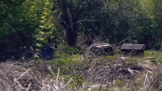 Душевная песня про деревню! ✮ Слеза скатилась - Александр Закшевский