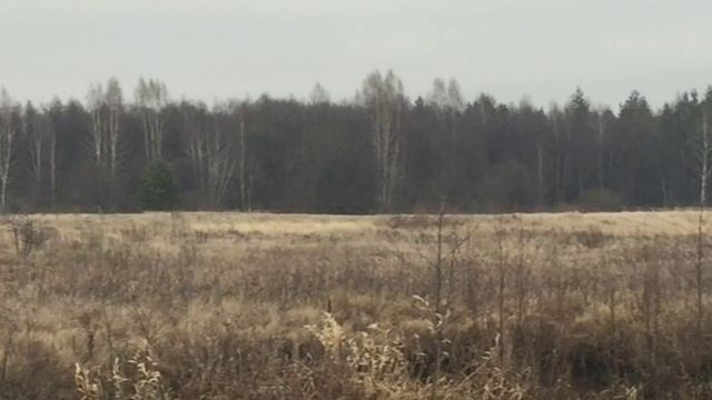 Река Тырница 08.12.2019