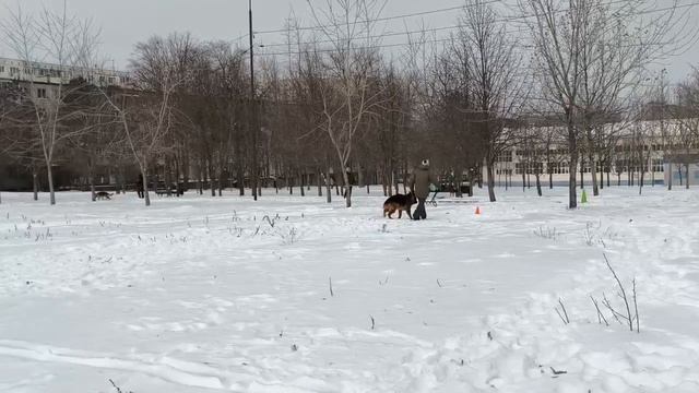 1.  выражено/перв ЗАВИСТЬ БОГОВ ДЬЯБЛО (Bolt del Colle Guasco – Engy di Casa Nobili)