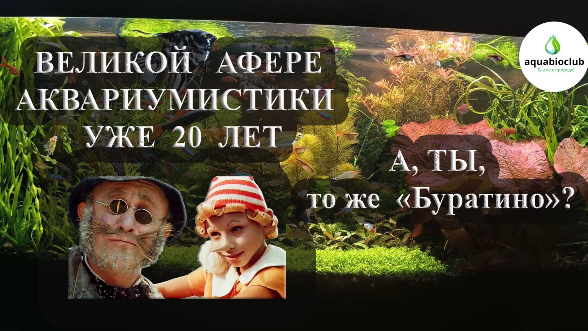 Величайшая афера с жидким СО2 - глутаровым альдегидом ("Сайдексом").