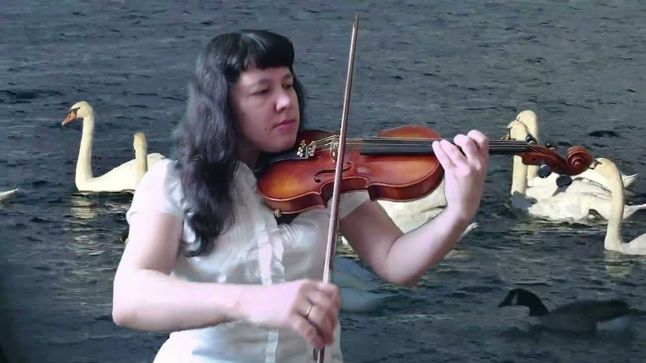 Лебедь (композитор - Камиль Сен-Санс) #violin