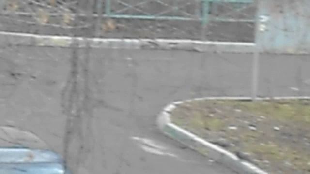 Весна. Пробежка стайки голубей. 548484. Архив. Апрель 2025. DSCN6169