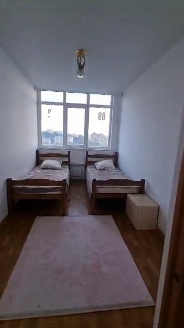 83700_Сайфутдинов