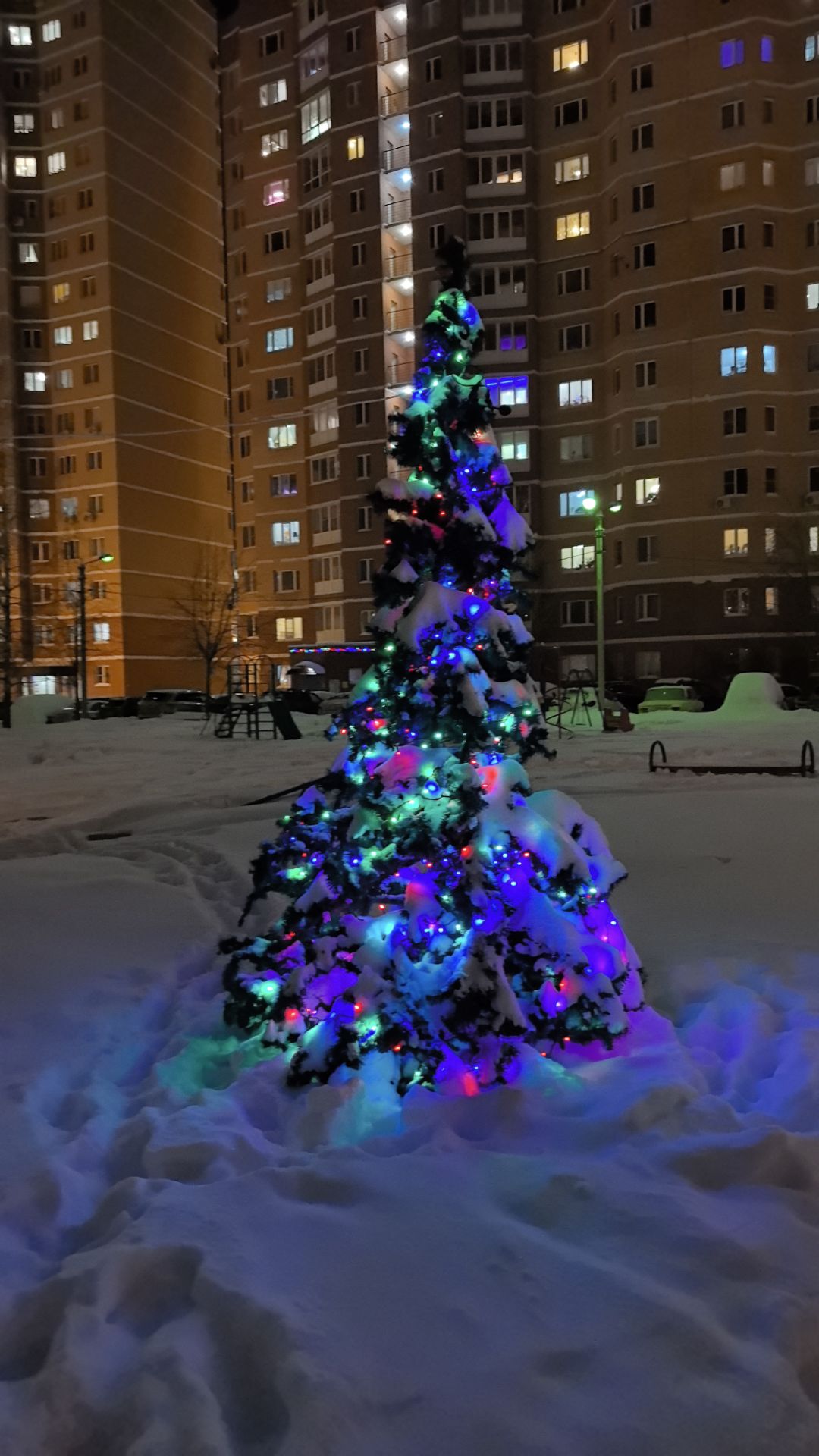 Последние елочки 2026 #елки #новыйгод #какаякрасота #елочкиводворе #елкирадужного #зима2026 #февраль