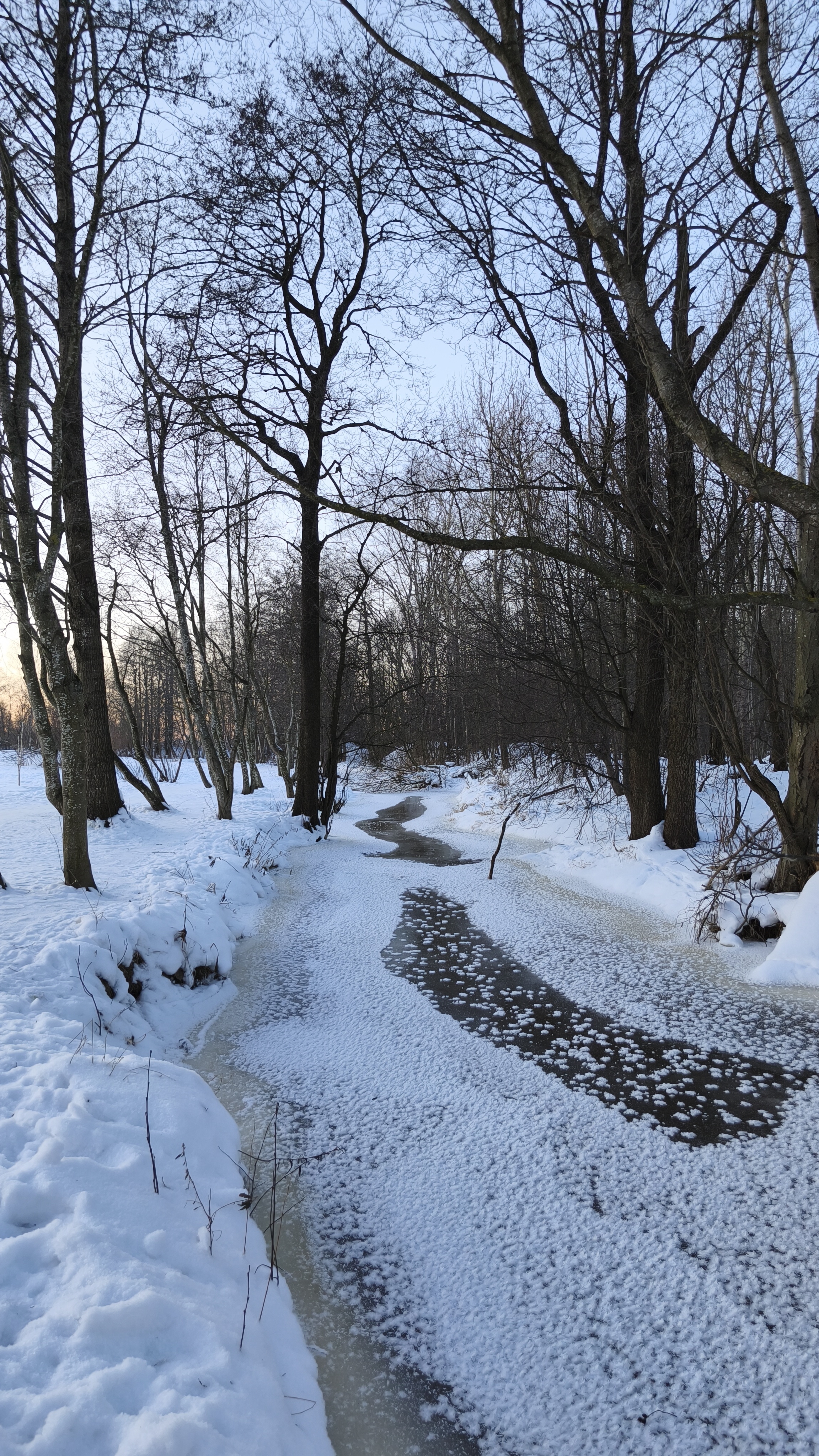 минутка поэзии... А.С.Пушкин