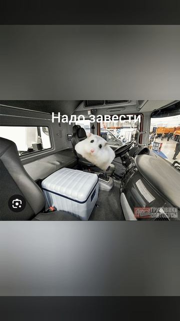 хомяк воровщик 10 серия