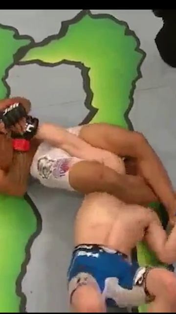 Обидчик Уланбекова - Киоджи Хорегучи | [ Бойцовский путь ]