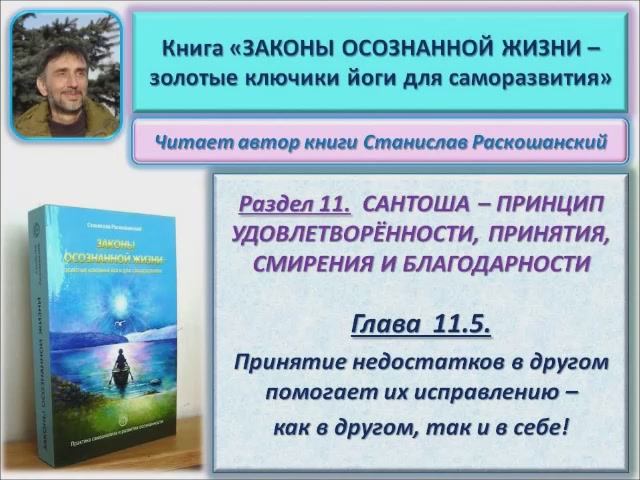 Аудио книга "Законы осознанной жизни". 11.5. Принятие недостатков в другом помогает их исправлению