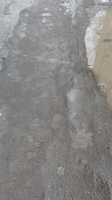 №1140 Двор Г. Звезда 73-Красноармейская 52 25 ноября 2025 г., 14:59:51 VID_20251125_145900883