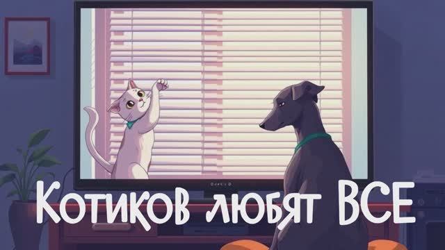 Котиков любят все, даже собаки!