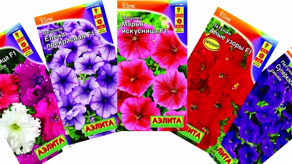 ПОСЕВ ПЕТУНИЙ С НОВЫМ УДОБРЕНИЕМ. ПОДКАРМЛИВАЮ ТОМАТЫ