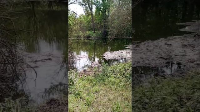 🔥Разлив реки Ахтуба 5 мая 2025 г