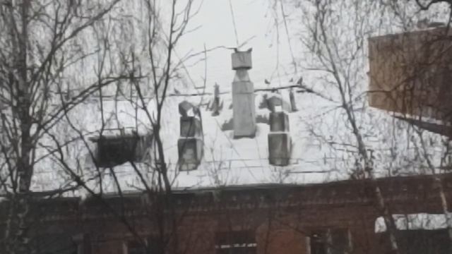 Голуби на крыше дома. Декабрь 2024. VID_20241220_103628