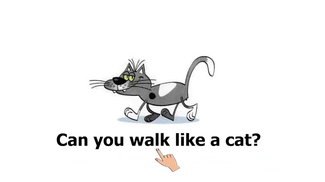 Pearson Excellent 1  Unit 10 Song Can you ? p 51 ex 6