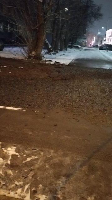 №1161 ул. Полины Осипенко. 6 декабря 2025 г., 18:21:23 VID_20251206_182103215