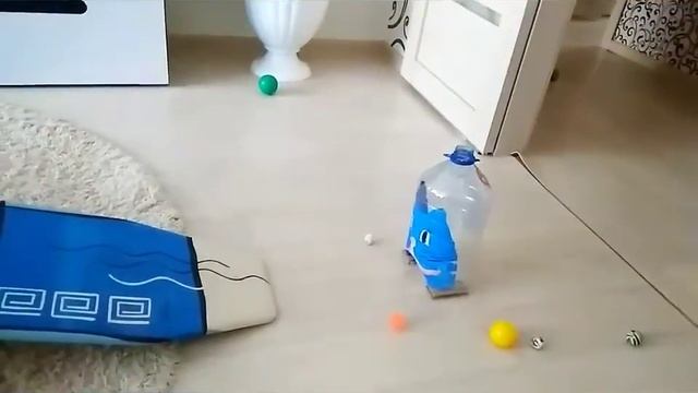 Подвижные игры дома. 7 весёлых игр с детьми