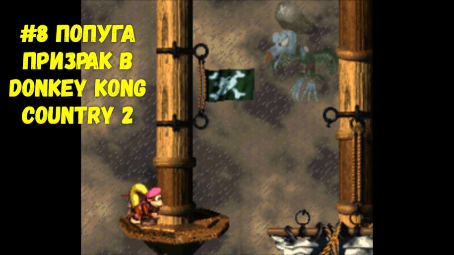#8 Попуга призрак в Donkey Kong Country 2