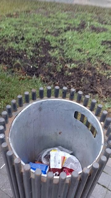 №1135 Комсомольский проспект. 25 ноября 2025 г., 14:52:43 VID_20251125_145233645