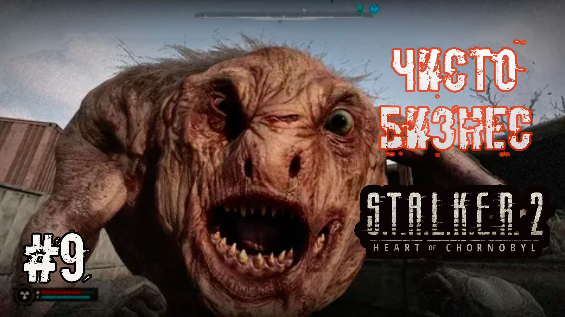 S.T.A.L.K.E.R. 2 Сердце Чернобыля_#9 ➤ Чисто Бизнес / Перебил группировку Бандитов / Бармэн
