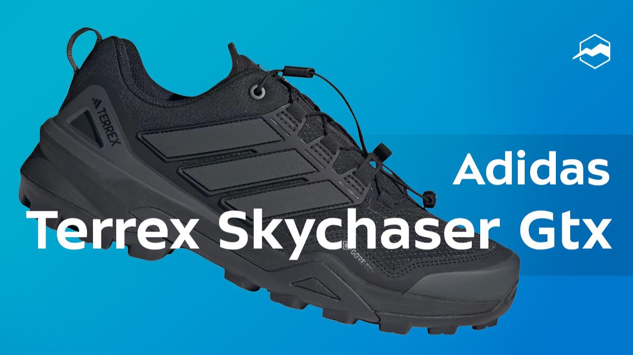 Кроссовки Adidas Terrex Skychaser Gtx