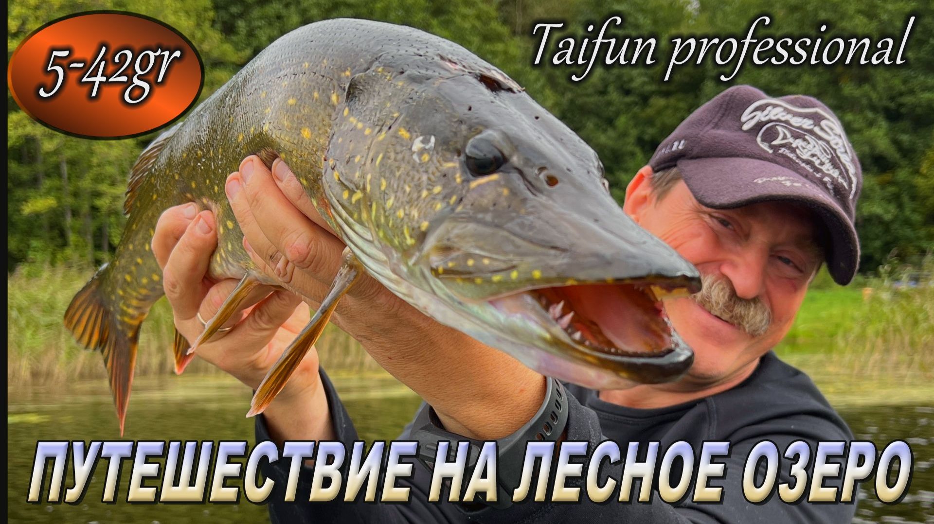 Путешествие на лесное озеро! Тестируем спиннинг Taifun Professional 802  5-42 грамма