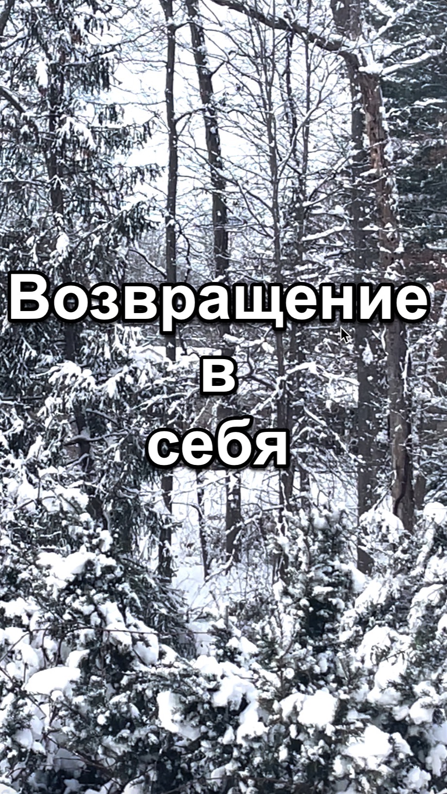 Возвращение в себя